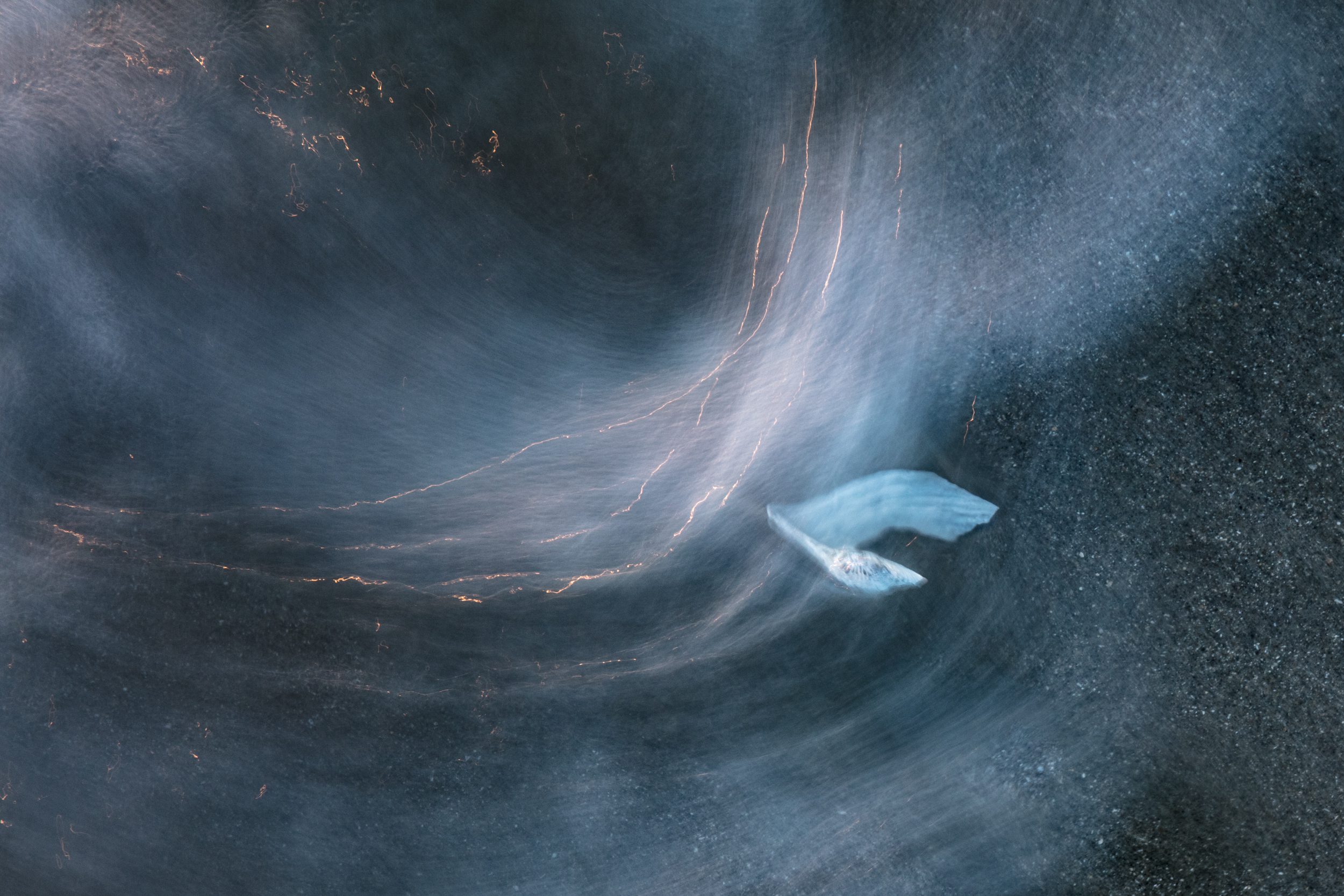 Ghost in the Shell - Rachael Talibart